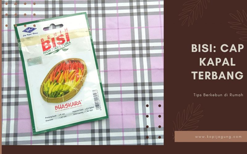 5 Merk Benih Sayuran di Indonesia, Mana yang Terbaik?